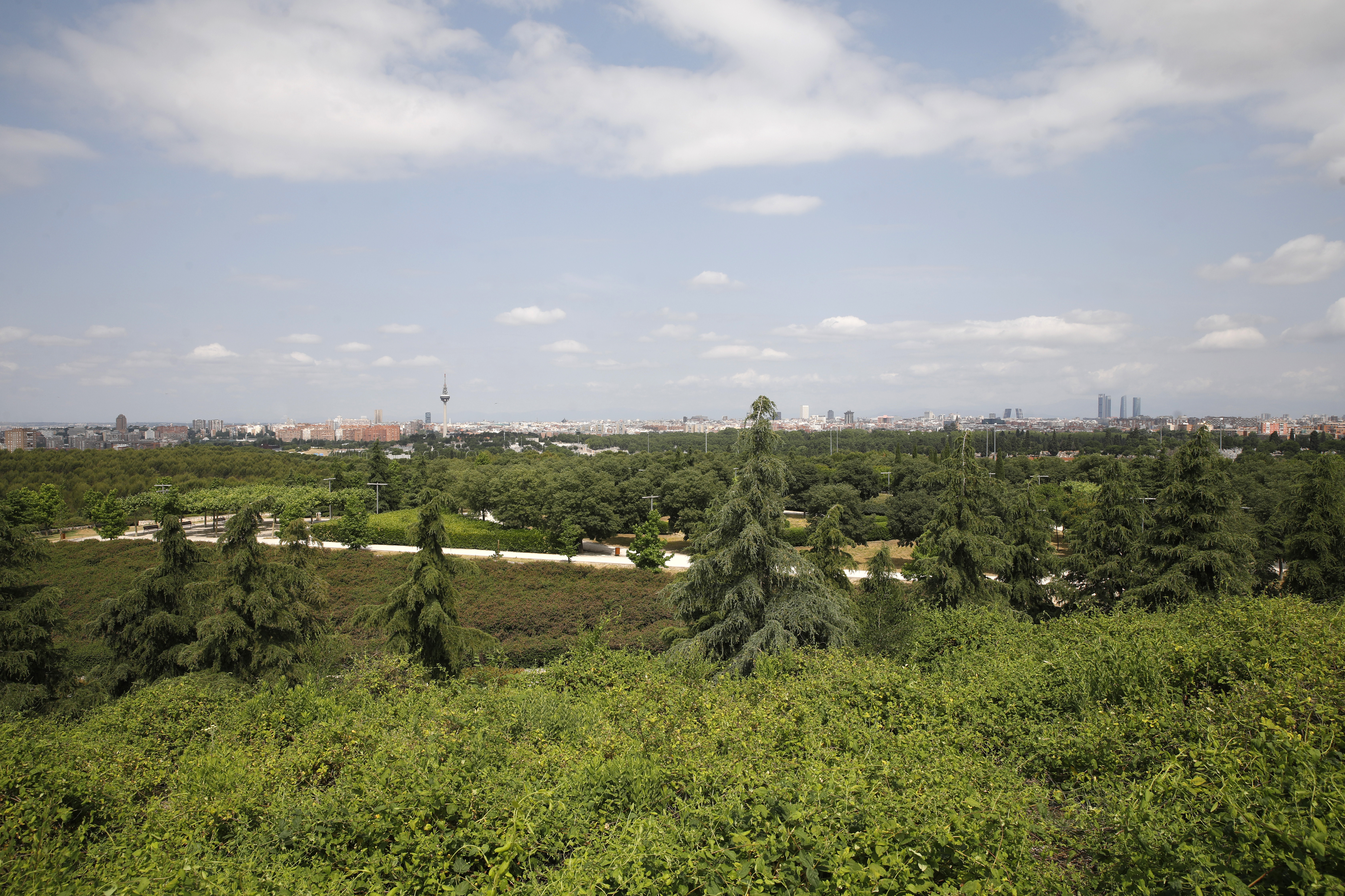 Madrid propone una ruta 360º por los diez parques con las mejores ...