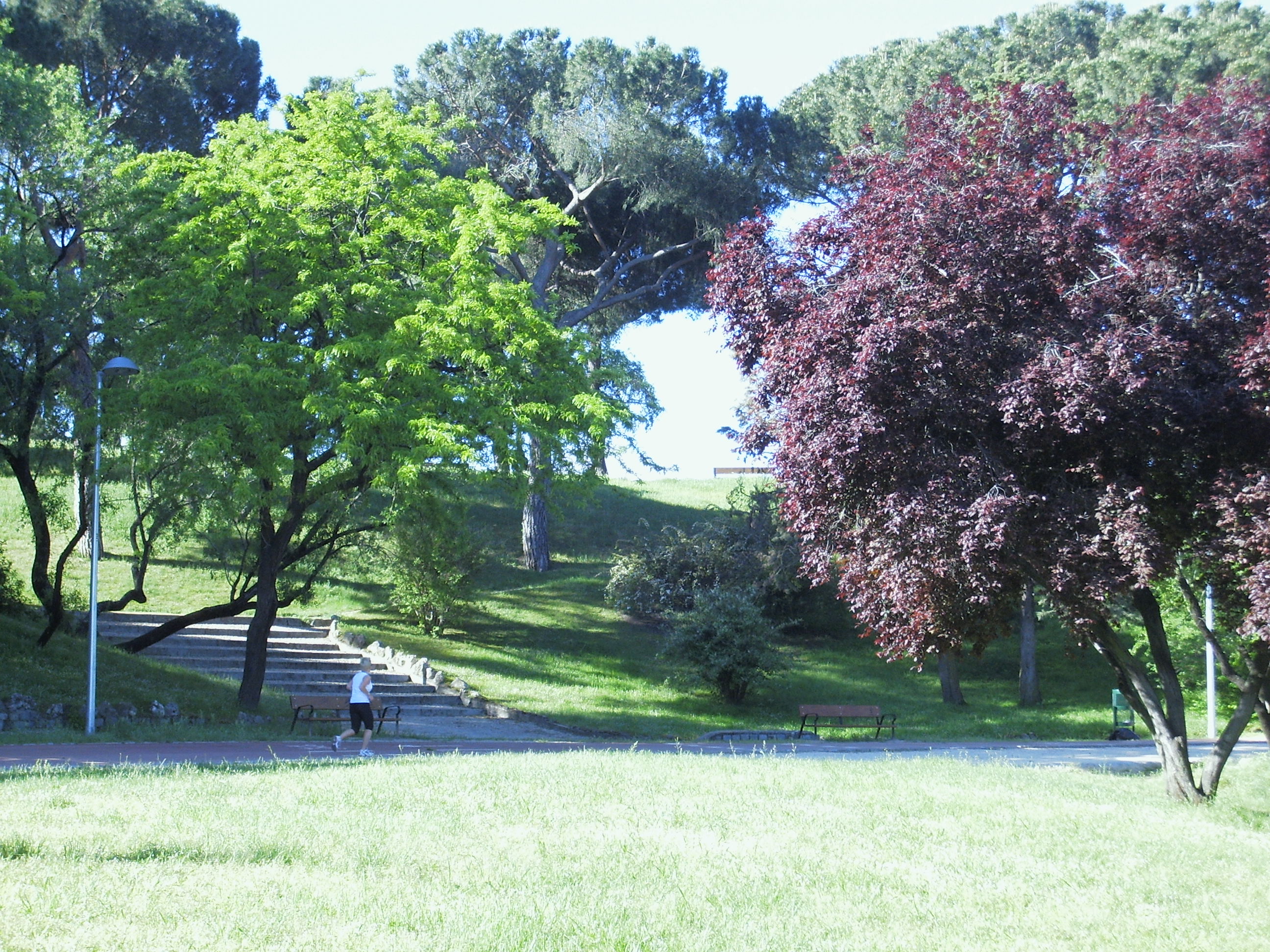 Parques y jardines - Ayuntamiento de Madrid