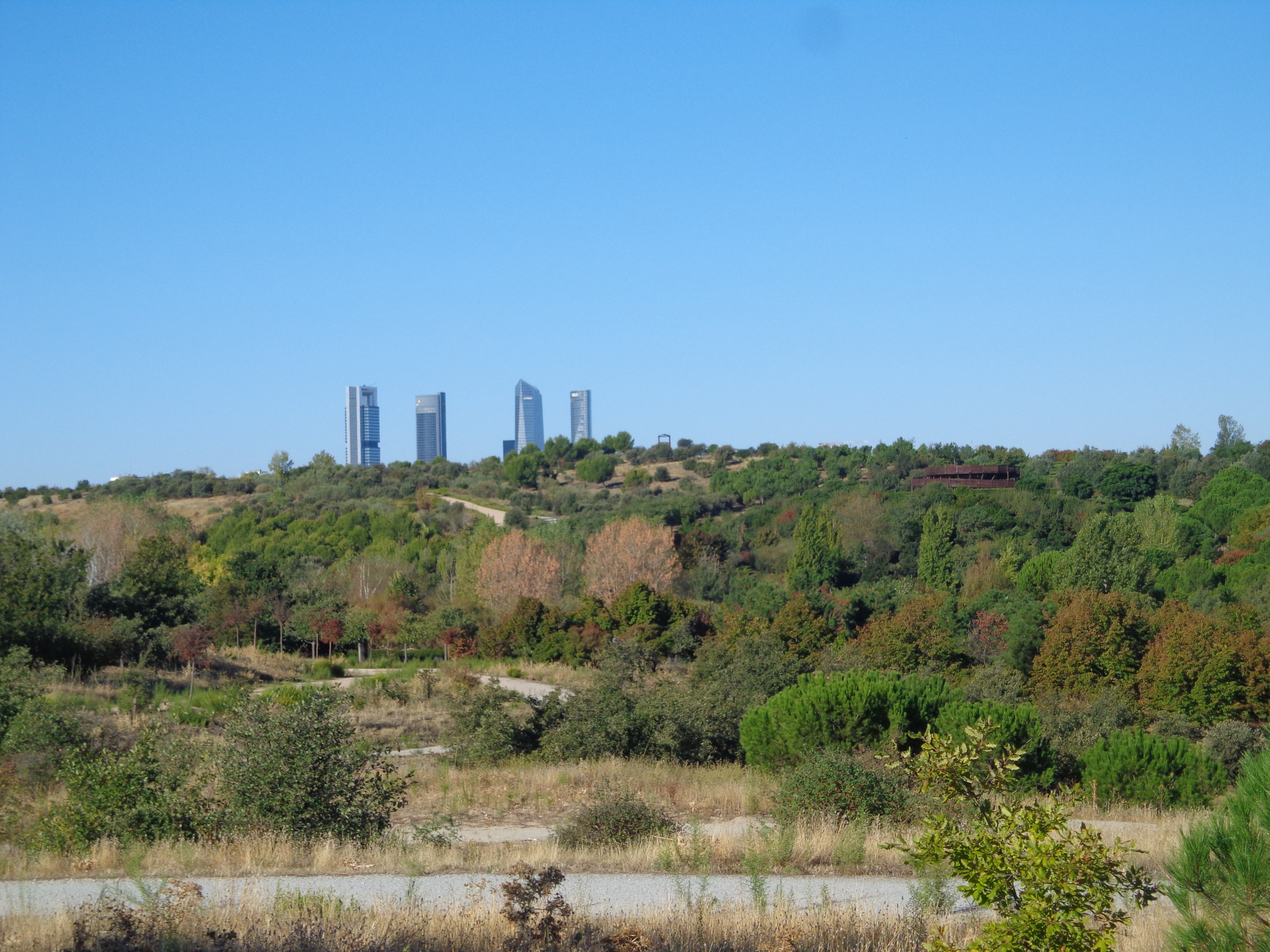 Parque Forestal de Valdebebas - Felipe VI - Ayuntamiento de Madrid
